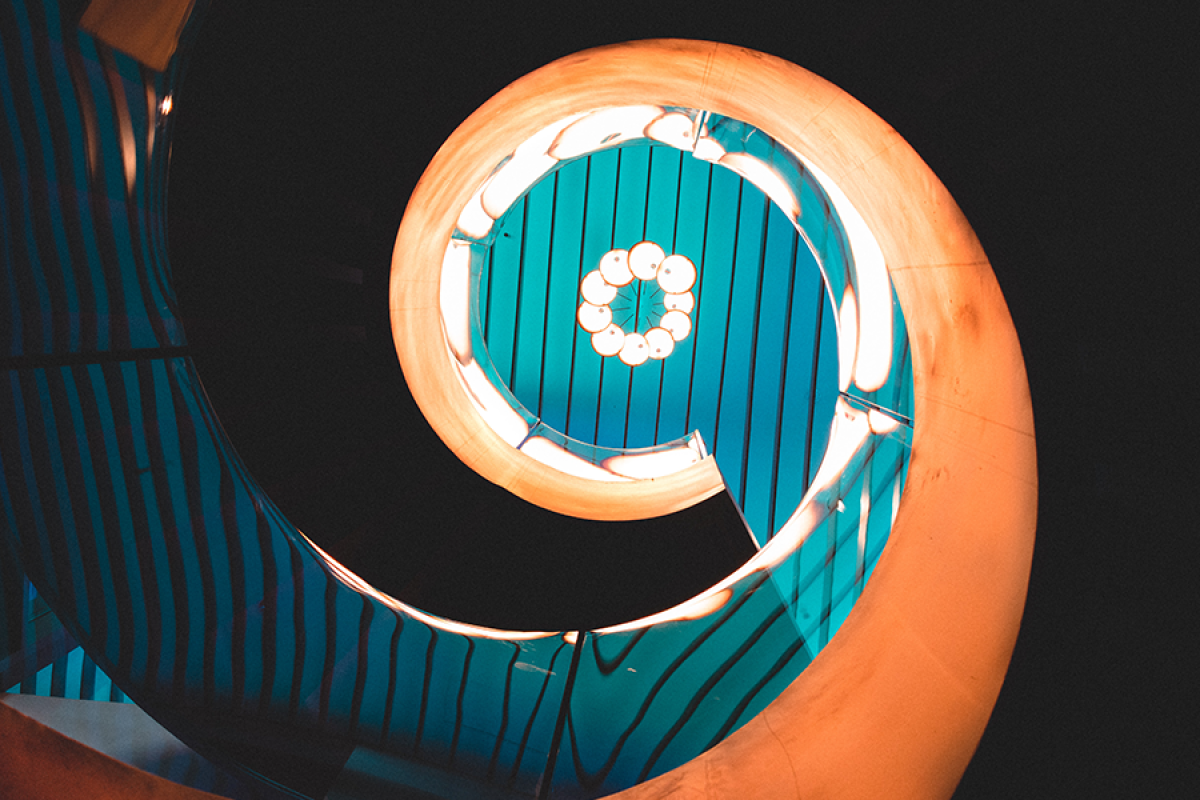 HFG members chosen for 2024-2025 INTA Committees
